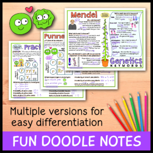Mendel and Punnett Squares Lesson Bundle - Emmatheteachie