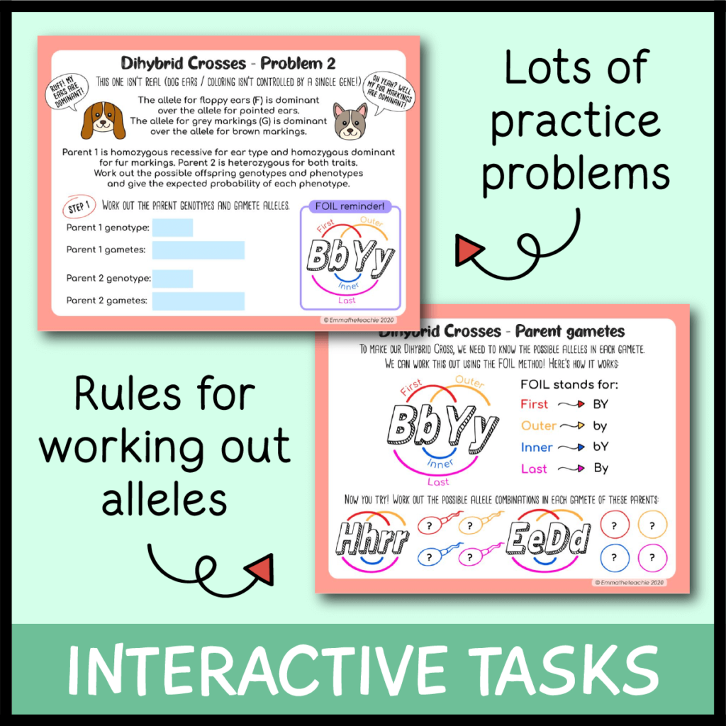 Dihybrid Crosses Google Slides - Emmatheteachie