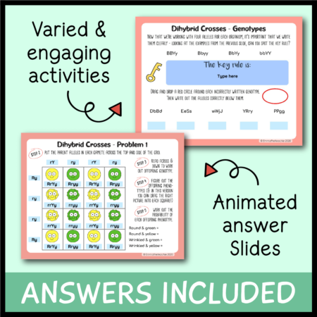 Dihybrid Crosses Google Slides - Emmatheteachie
