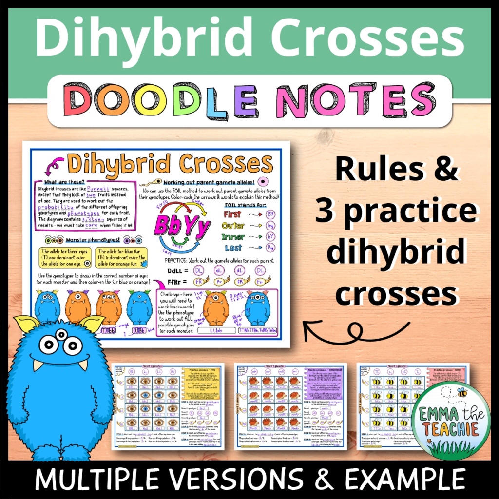 Dihybrid Crosses Doodle Notes - Emmatheteachie