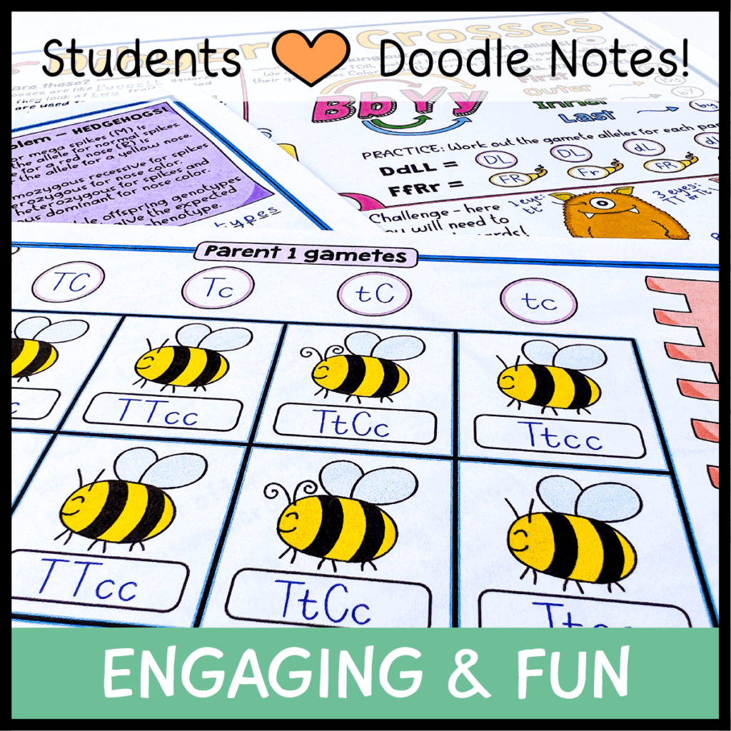 Dihybrid Crosses Doodle Notes - Emmatheteachie