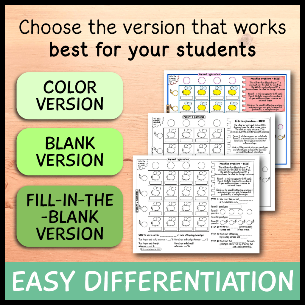 Dihybrid Crosses Doodle Notes - Emmatheteachie
