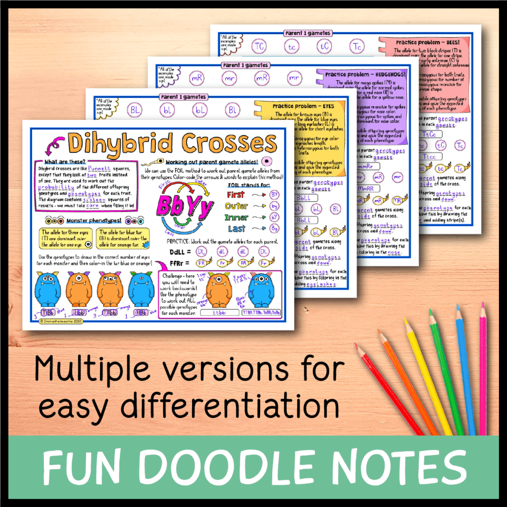 Dihybrid Crosses Lesson Bundle - Emmatheteachie Resources