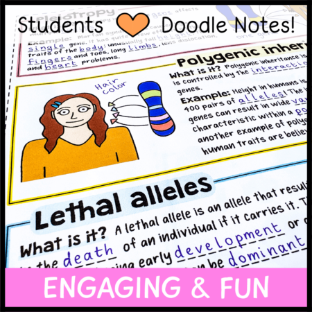 Non-Mendelian Inheritance Doodle Notes - Emmatheteachie