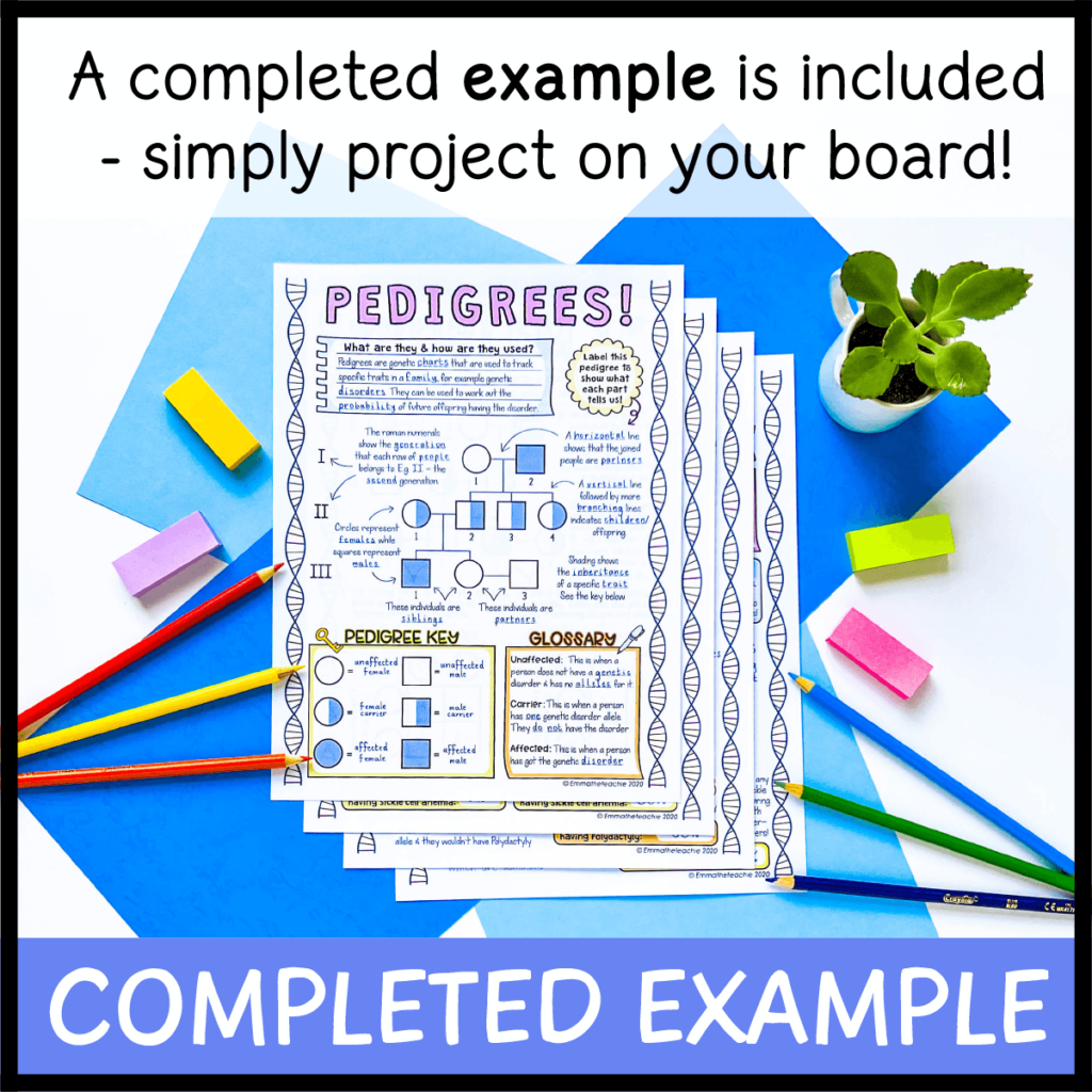 Pedigrees Doodle Notes - Emmatheteachie Resources