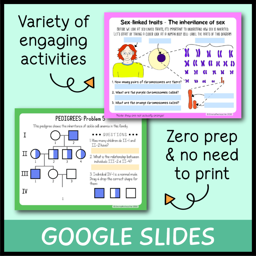 Genetics and Heredity Unit Bundle Google Slides - Emmatheteachie