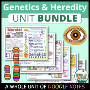 Pedigrees Doodle Notes Emmatheteachie Resources