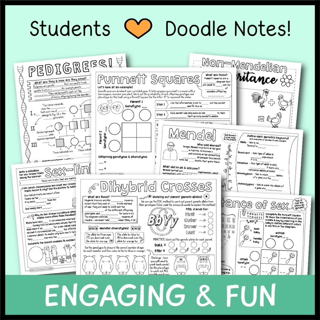 Genetics and Heredity Unit - Doodle Notes - Emmatheteachie