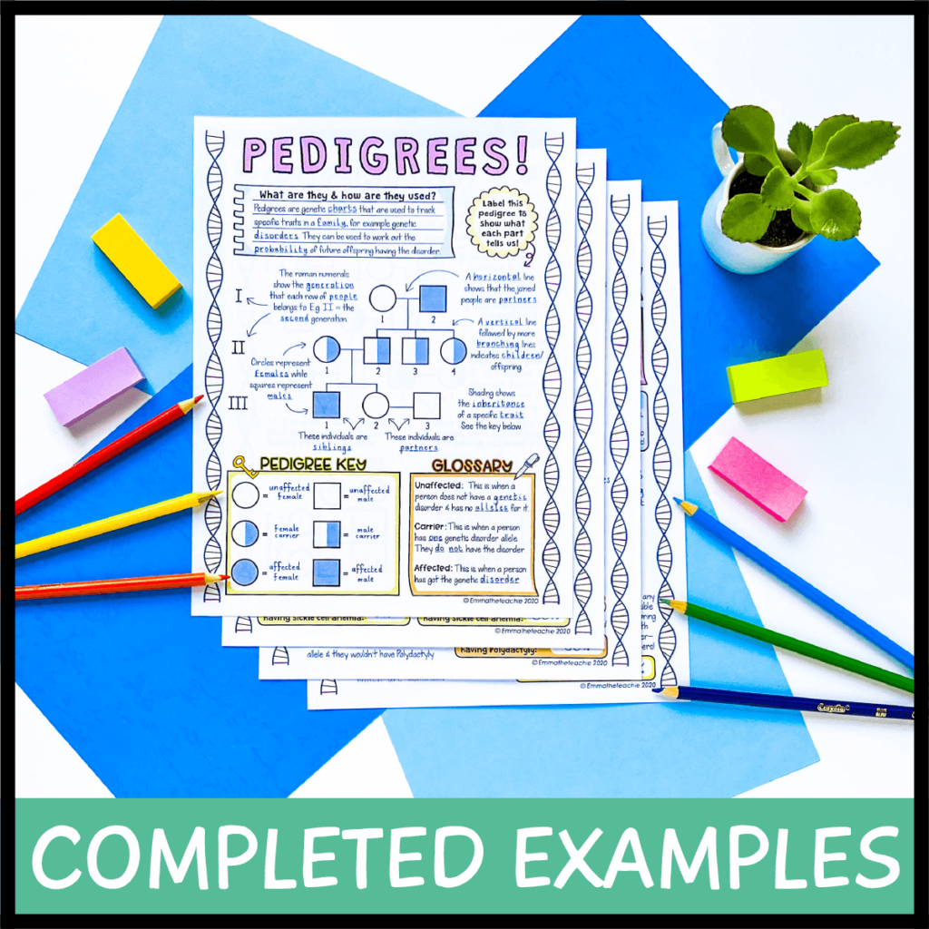 Genetics and Heredity Unit - Doodle Notes - Emmatheteachie