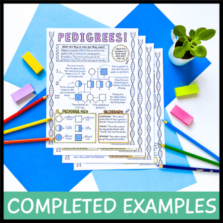 Genetics and Heredity Unit - Doodle Notes - Emmatheteachie