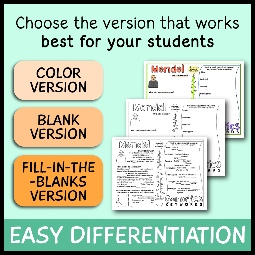 Genetics and Heredity Unit - Doodle Notes - Emmatheteachie
