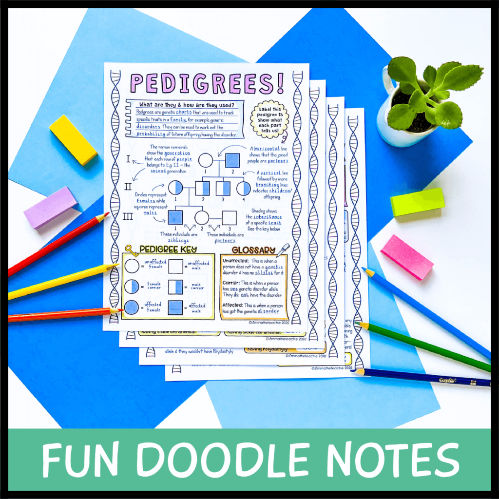 Genetics and Heredity Big Unit Bundle - Emmatheteachie