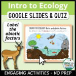 Introduction to Ecology Google Slides - Emmatheteachie