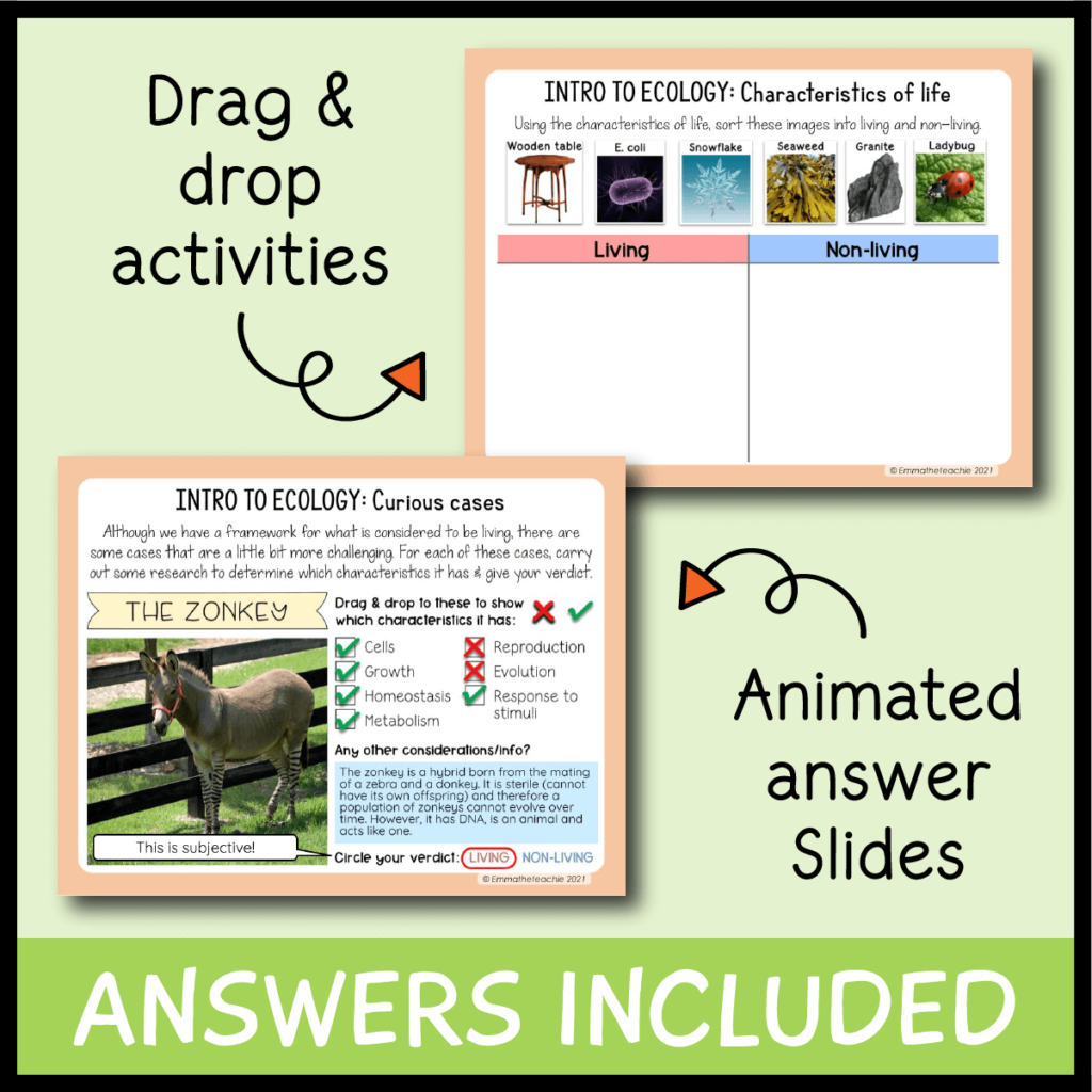 Introduction to Ecology Google Slides - Emmatheteachie