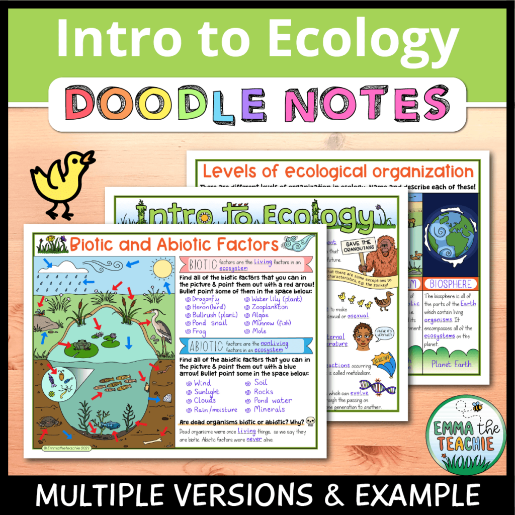 Introduction to Ecology Doodle Notes - Emmatheteachie