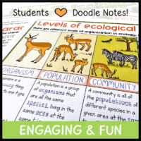 Introduction to Ecology Doodle Notes - Emmatheteachie