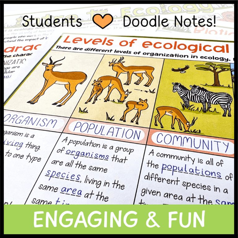 Introduction to Ecology Doodle Notes - Emmatheteachie