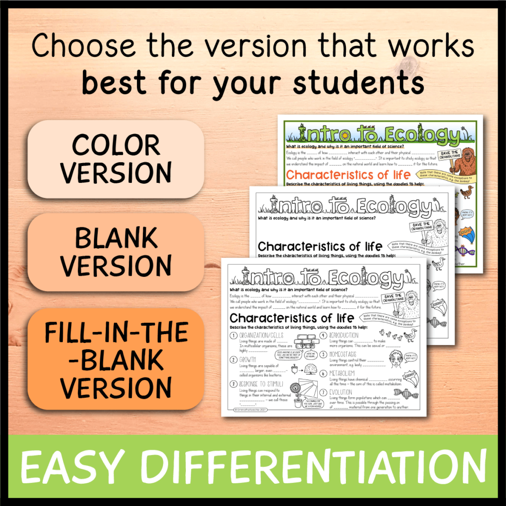 Introduction to Ecology Doodle Notes - Emmatheteachie