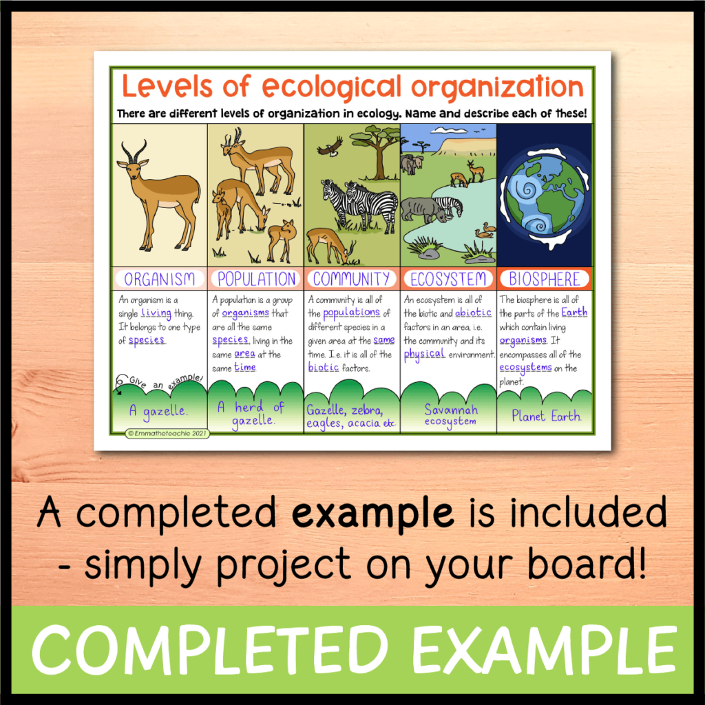 Introduction to Ecology Doodle Notes - Emmatheteachie
