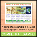 Introduction to Ecology Doodle Notes - Emmatheteachie