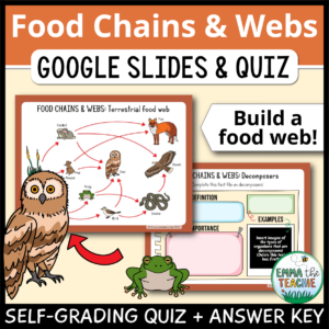Food Chains and Food Webs Lesson Bundle - Emmatheteachie