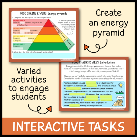 Food Chains and Webs Google Slides - Emmatheteachie