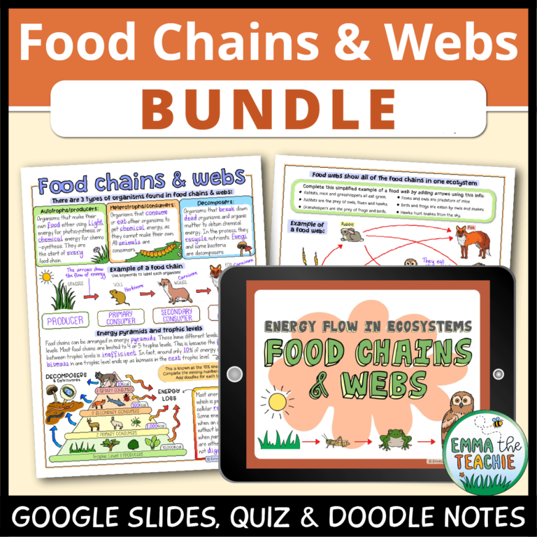 Food Chains and Food Webs Lesson Bundle - Emmatheteachie