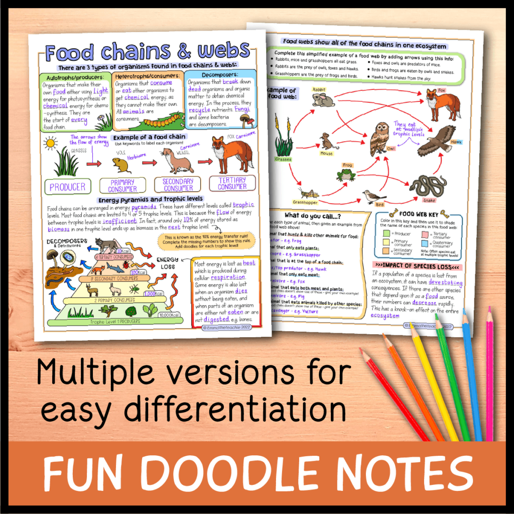 Food Chains and Food Webs Lesson Bundle - Emmatheteachie