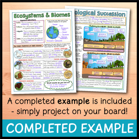 Ecosystems and Biomes Doodle Notes - Emmatheteachie