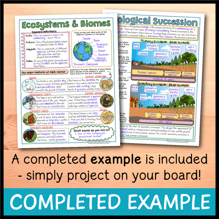 Ecosystems and Biomes Doodle Notes - Emmatheteachie