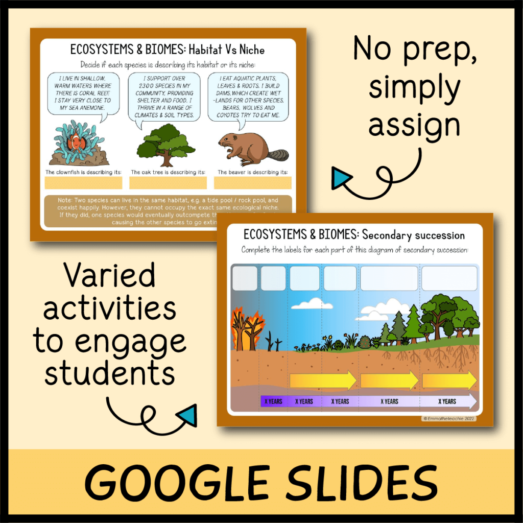 Ecosystems and Biomes Lesson Bundle - Emmatheteachie