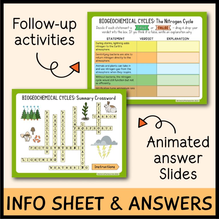 Biogeochemical Cycles Google Slides - Emmatheteachie