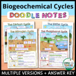 Biogeochemical Cycles Doodle Notes - Emmatheteachie