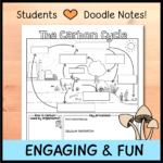 Biogeochemical Cycles Doodle Notes - Emmatheteachie
