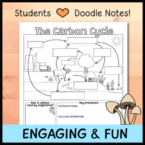 Biogeochemical Cycles Doodle Notes - Emmatheteachie