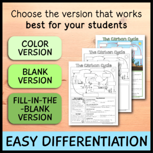 Biogeochemical Cycles Doodle Notes - Emmatheteachie