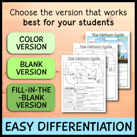 Biogeochemical Cycles Doodle Notes - Emmatheteachie
