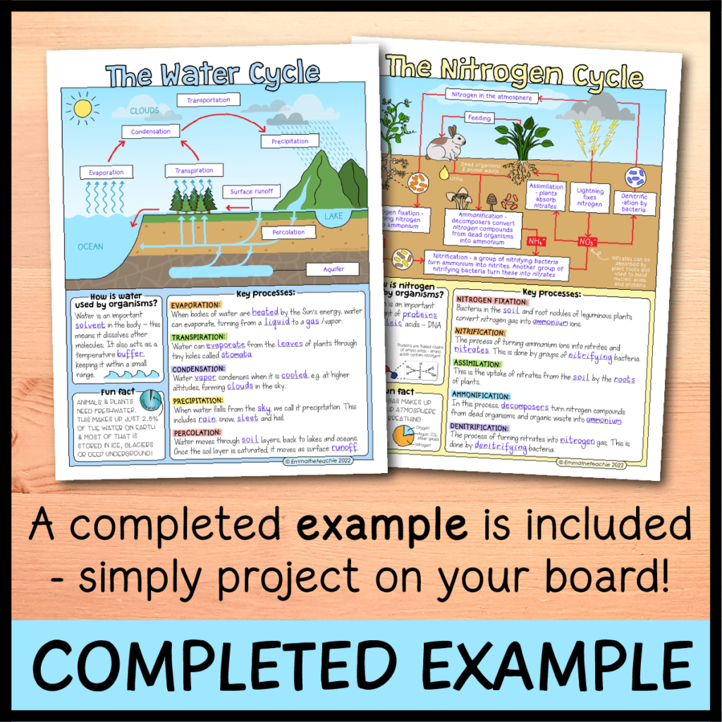 Biogeochemical Cycles Doodle Notes - Emmatheteachie