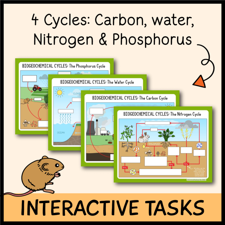 Biogeochemical Cycles Bundle - Emmatheteachie