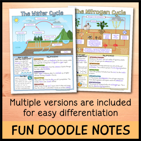 Biogeochemical Cycles Bundle - Emmatheteachie