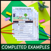Ecology Doodle Notes - Unit Bundle - Emmatheteachie Resources