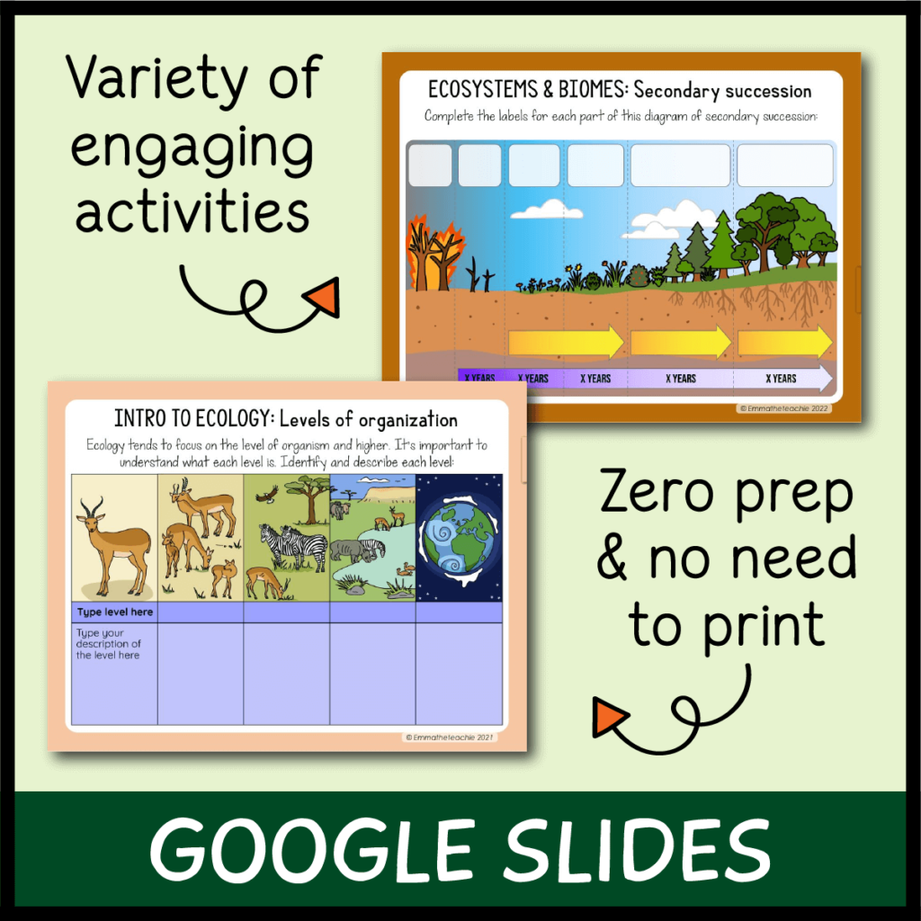 Ecology Big Unit Bundle - Emmatheteachie