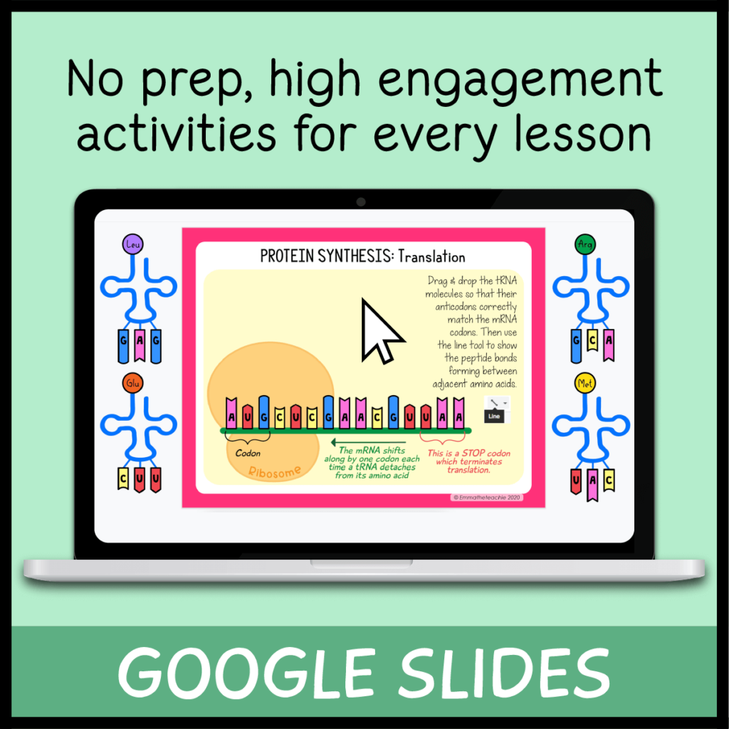 Whole Year of Biology Google Slides Bundle - Emmatheteachie