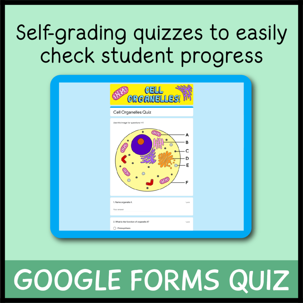 Whole Year of Biology Google Slides Bundle - Emmatheteachie