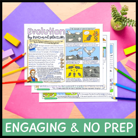Whole Year of Biology Doodle Notes Bundle - Emmatheteachie