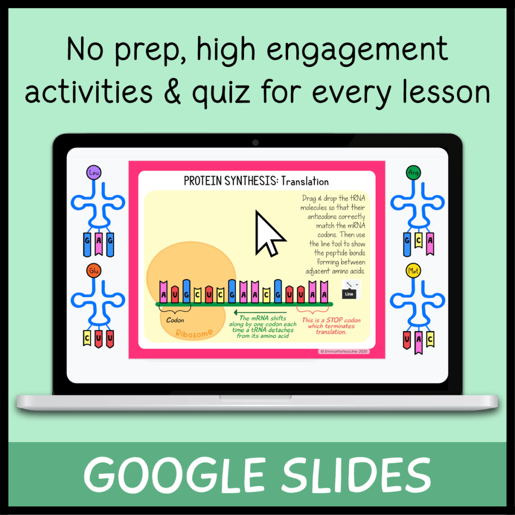 Whole Year Biology Curriculum - Google Slides and Doodle Notes