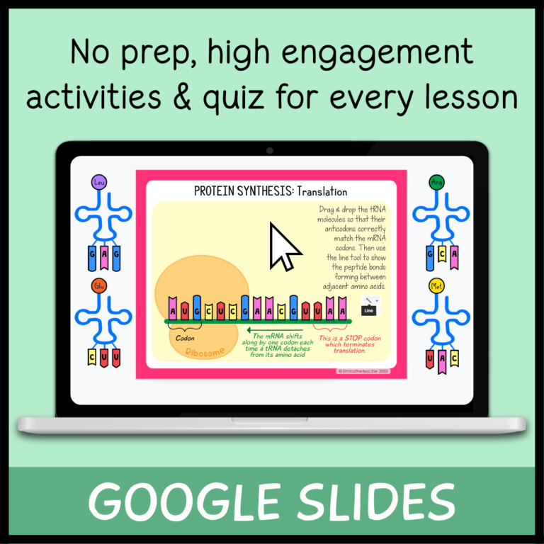 Whole Year Biology Curriculum - Google Slides and Doodle Notes