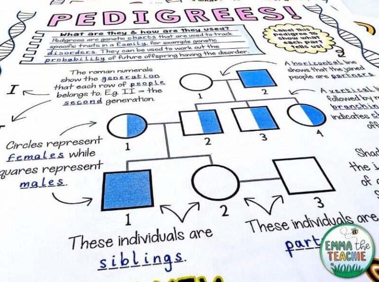 How to Teach Pedigree Charts - Lesson Activities - Emmatheteachie Blog