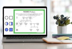 How to Teach Pedigree Charts - Lesson Activities - Emmatheteachie Blog