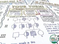 How to Teach Pedigree Charts - Lesson Activities - Emmatheteachie Blog